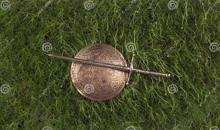 Shield and Sword , Green Moss Stock Image - Image of culture, blade ...