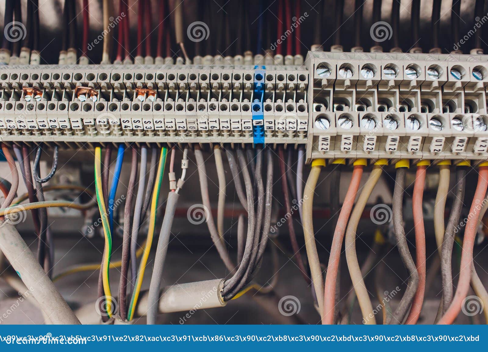 Distribution Shield. Complete Device Designed To Receive, Distribute ...
