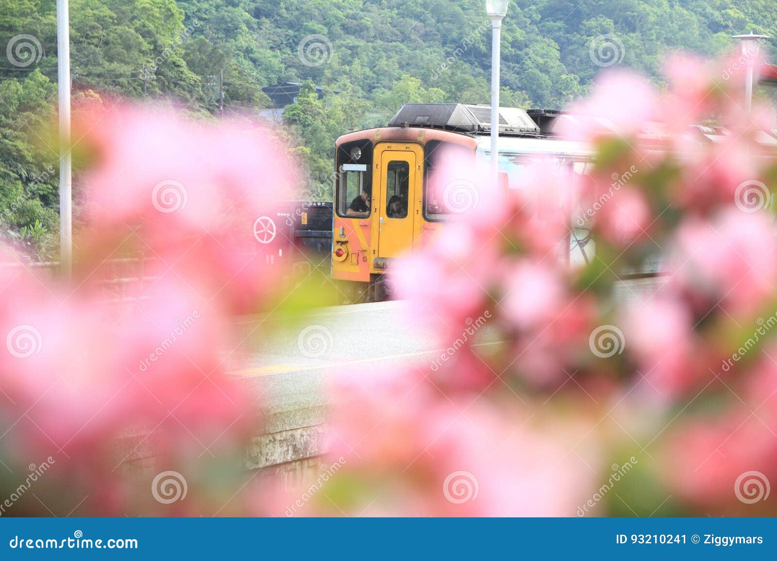 Shifen Station and Train on Pingxi Line Editorial Photo - Image of ...