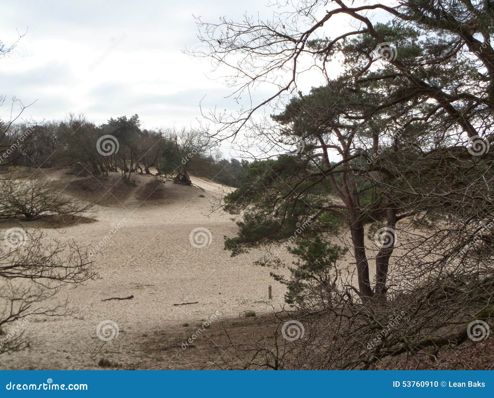 Shifting sand dunes stock photo. Image of dutch, nature - 53760910