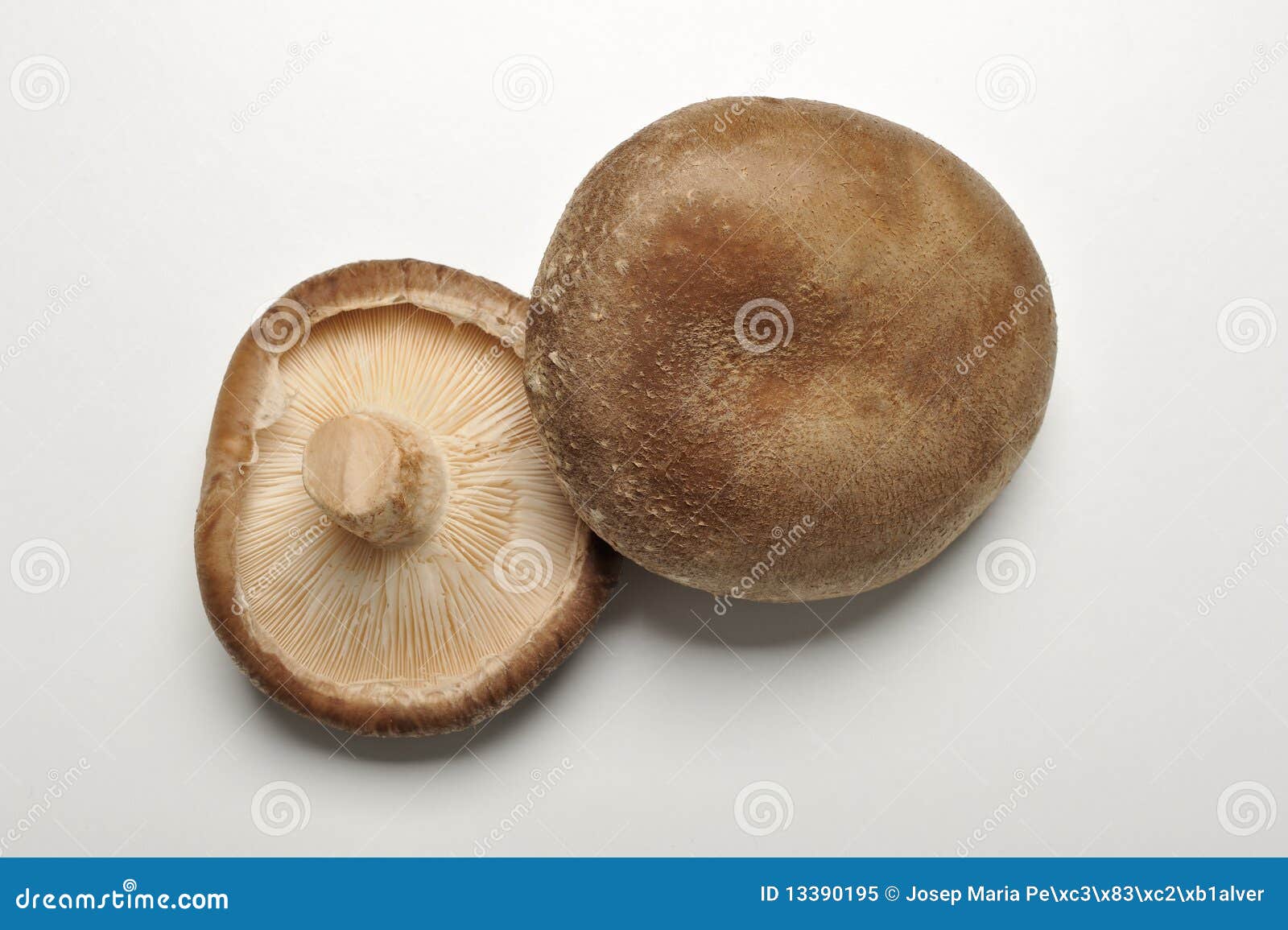 Shiitake stock image. Image of edible, ingredient, cook - 13390195