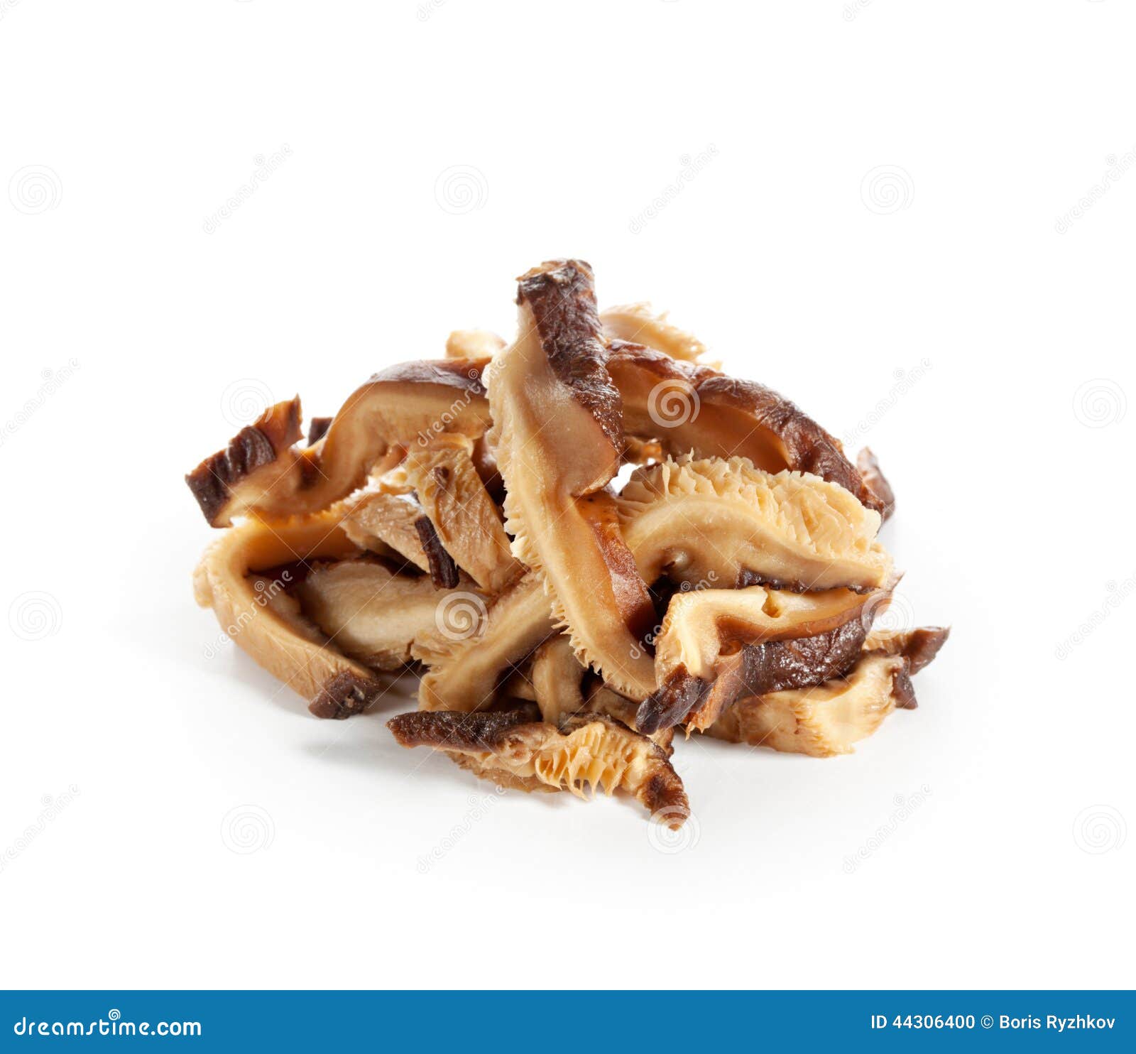 Shiitake stock photo. Image of asian, chinese, closeup - 44306400