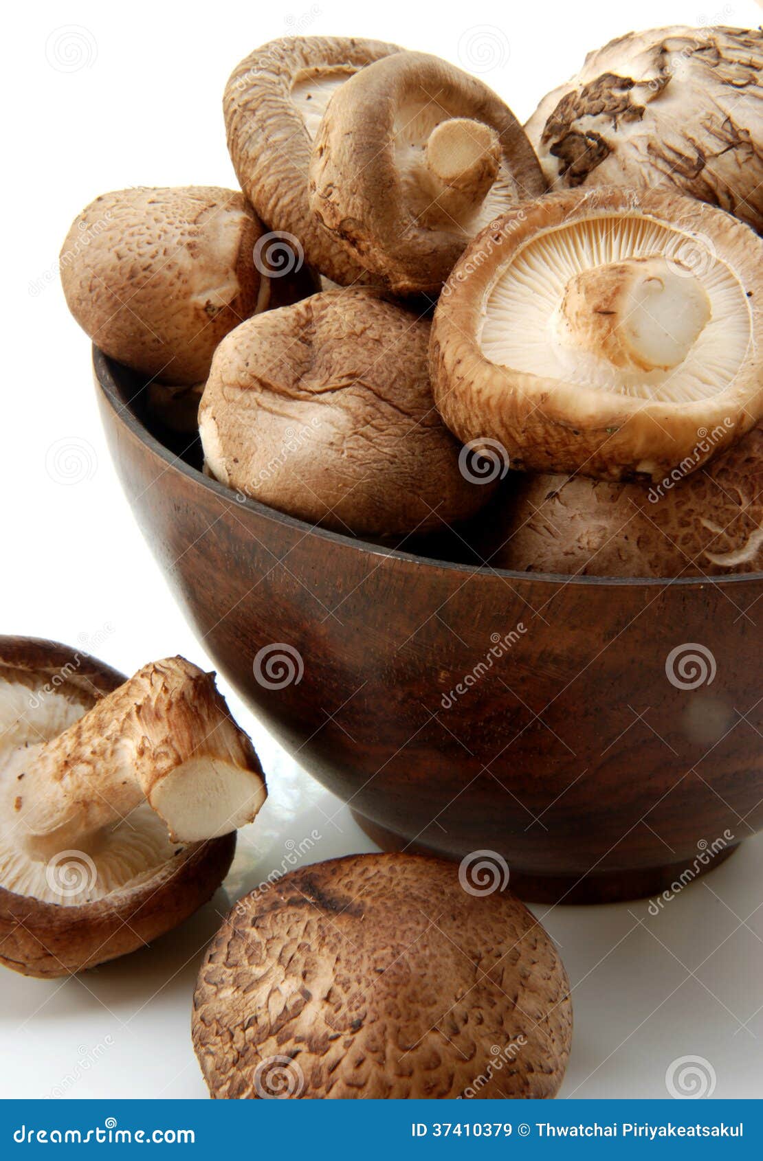 Shiitake mushroom stock image. Image of beautiful, medical - 37410379