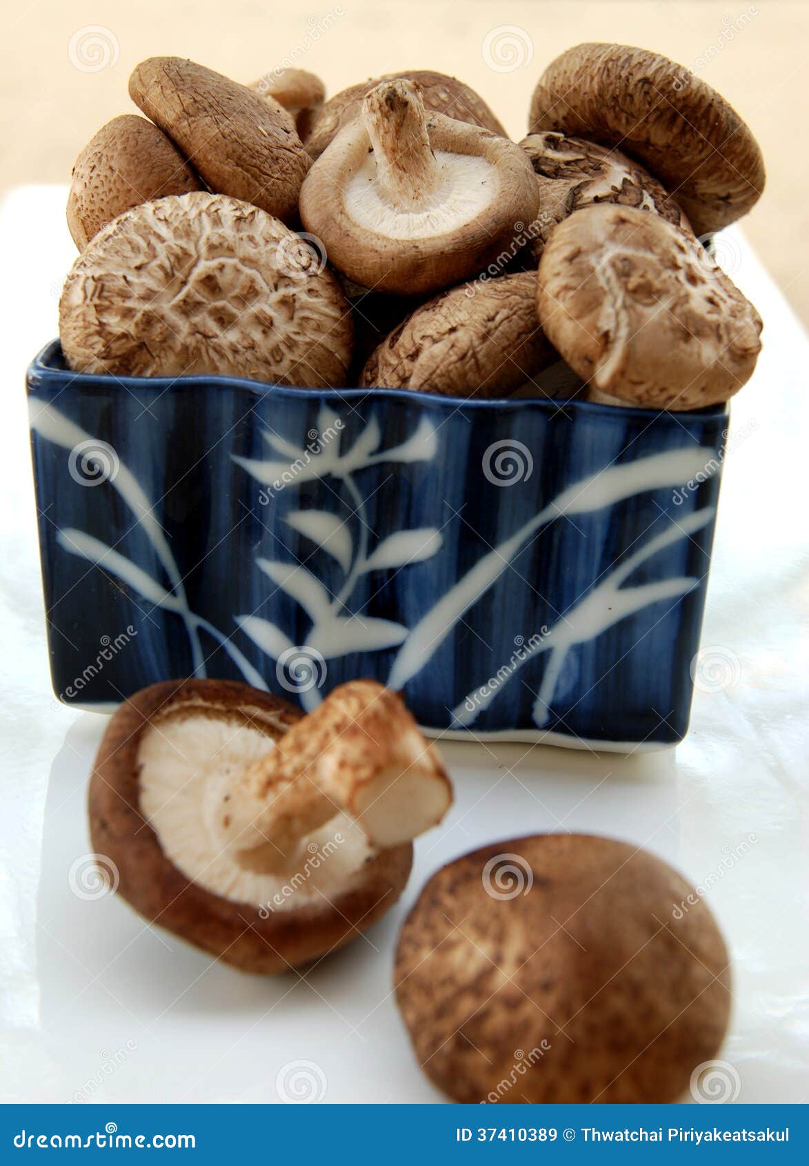 Shiitake mushroom stock image. Image of food, close, brown - 37410389