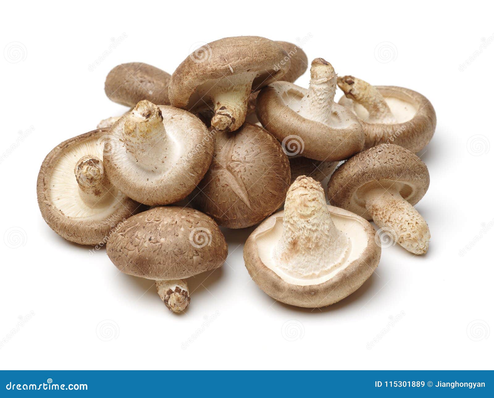 Shiitake mushroom stock image. Image of edible, mushrooms - 115301889