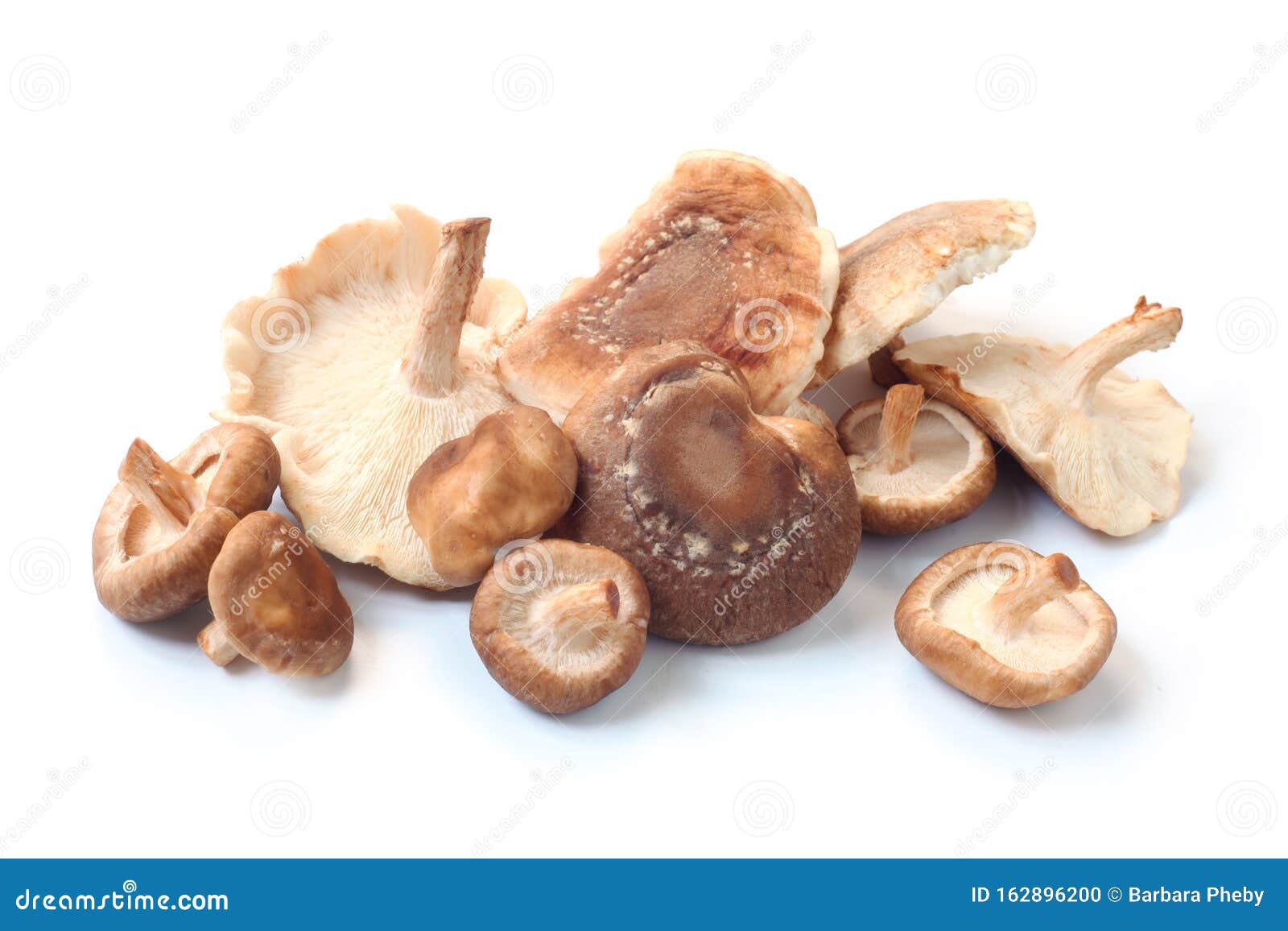 Shiitake Mushrooms stock photo. Image of ingredients - 162896200
