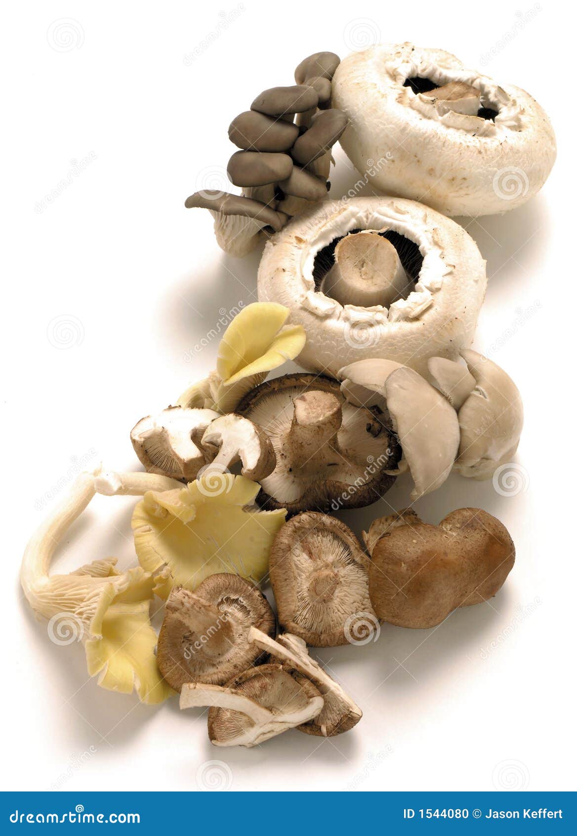 Shiitake, Oyster and Traditional Mushrooms Stock Photo - Image of ...