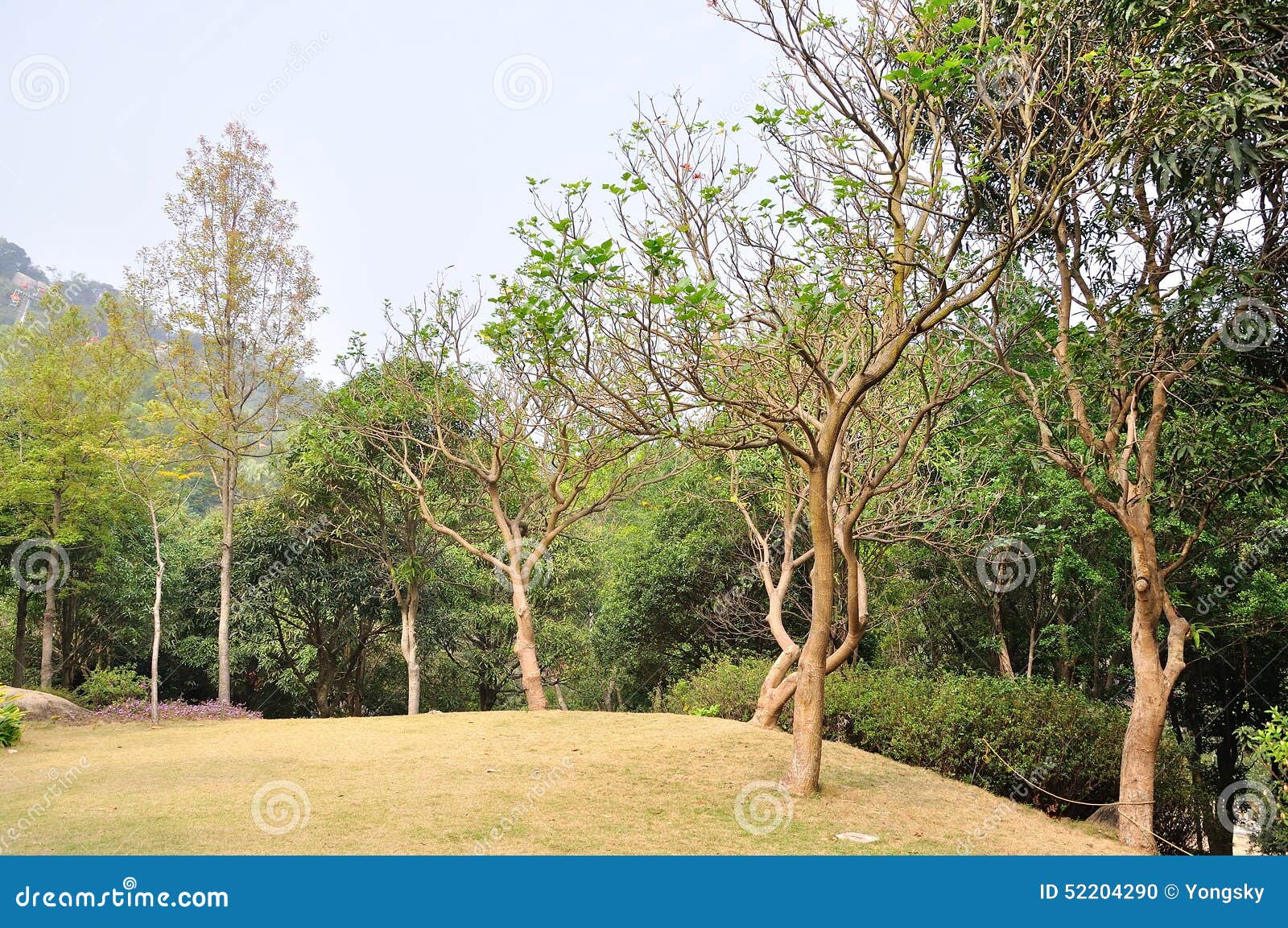 Shijing mountain park stock photo. Image of tourist, scenery - 52204290