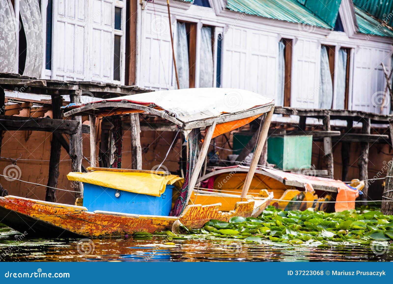 Shikara Boat in Dal Lake , Kashmir India Stock Photo - Image of cloud ...