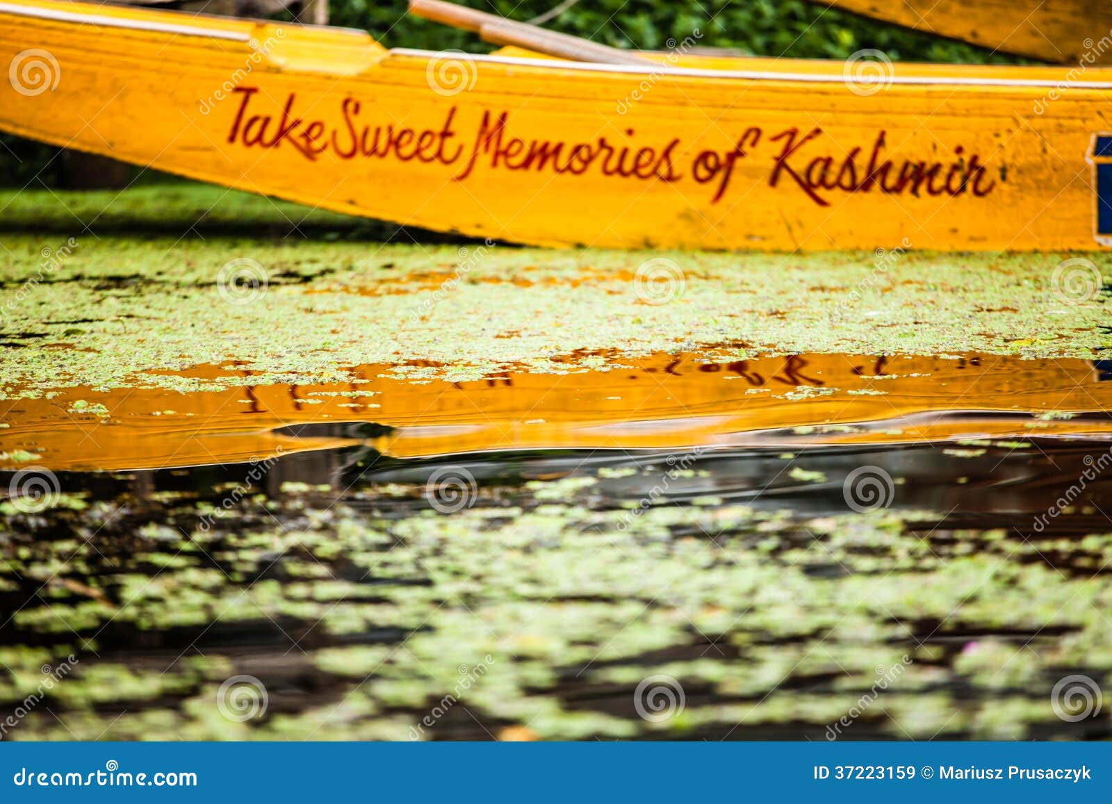Yellow Shikara In The Dal Lake Of Srinagar Stock Photo | CartoonDealer ...