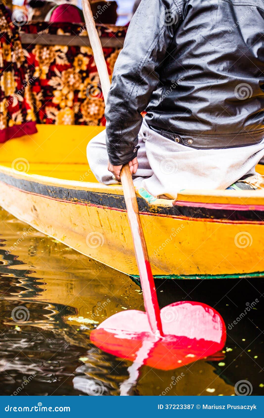 Shikara Boat in Dal Lake , Kashmir India Stock Image - Image of asian ...