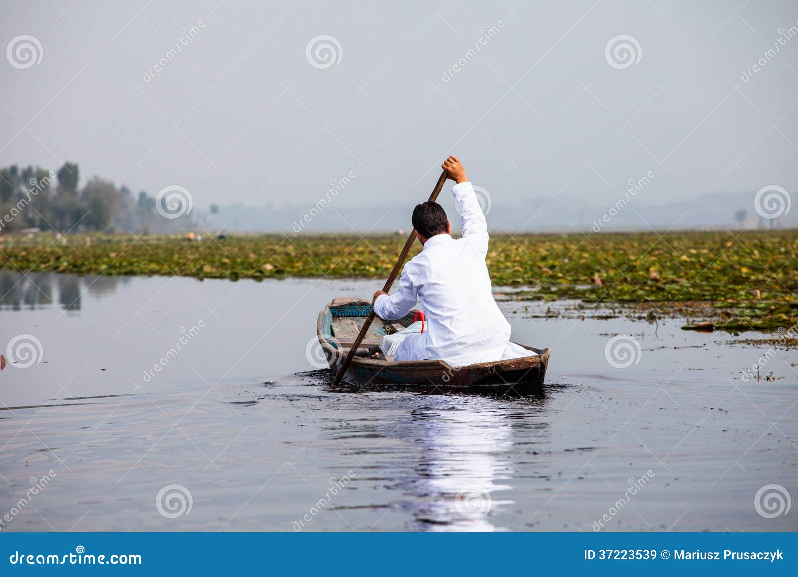 Shikara Boat in Dal Lake , Kashmir India Editorial Stock Image - Image ...