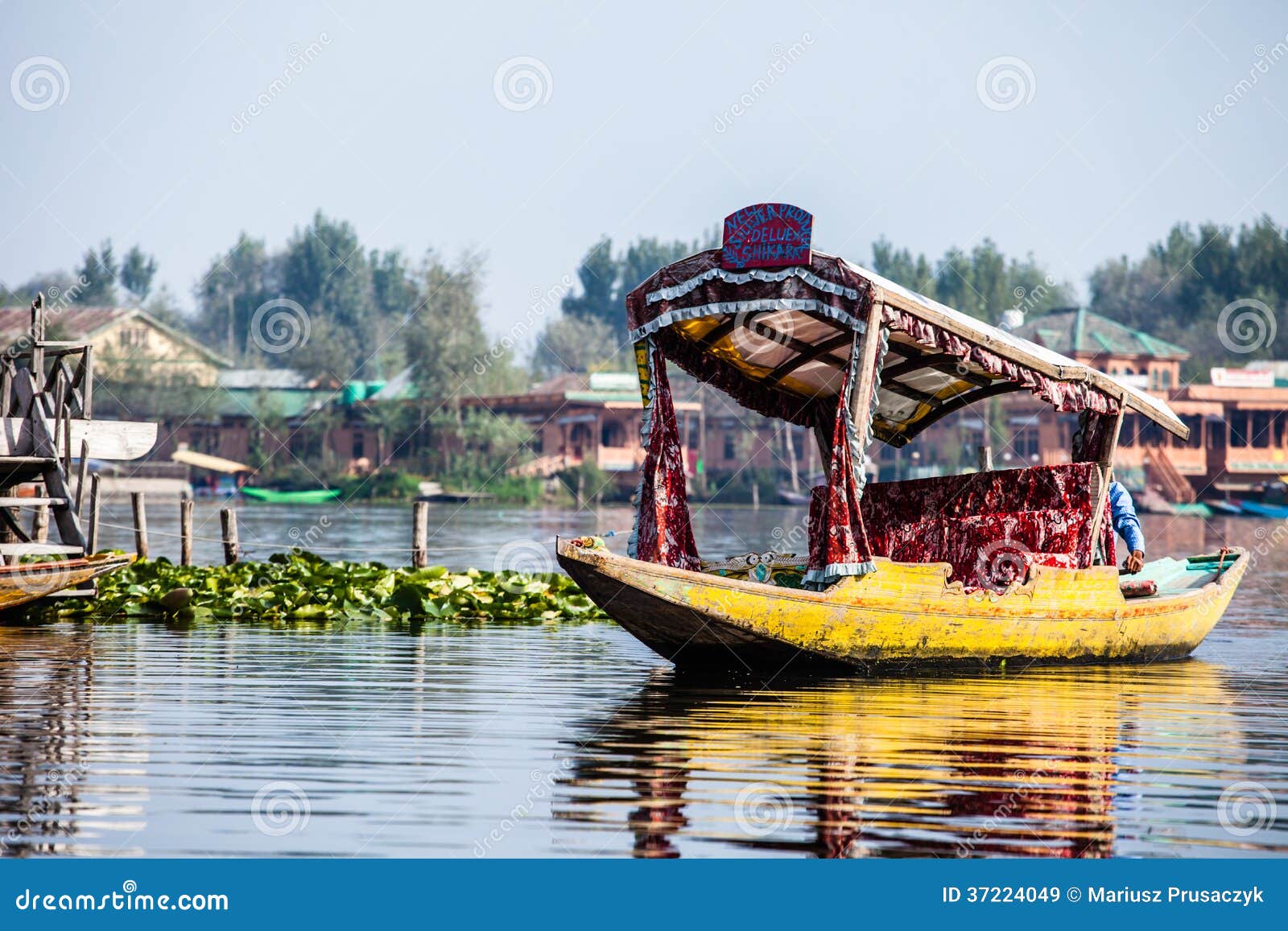 Shikara Boat in Dal Lake , Kashmir India Stock Image - Image of ...