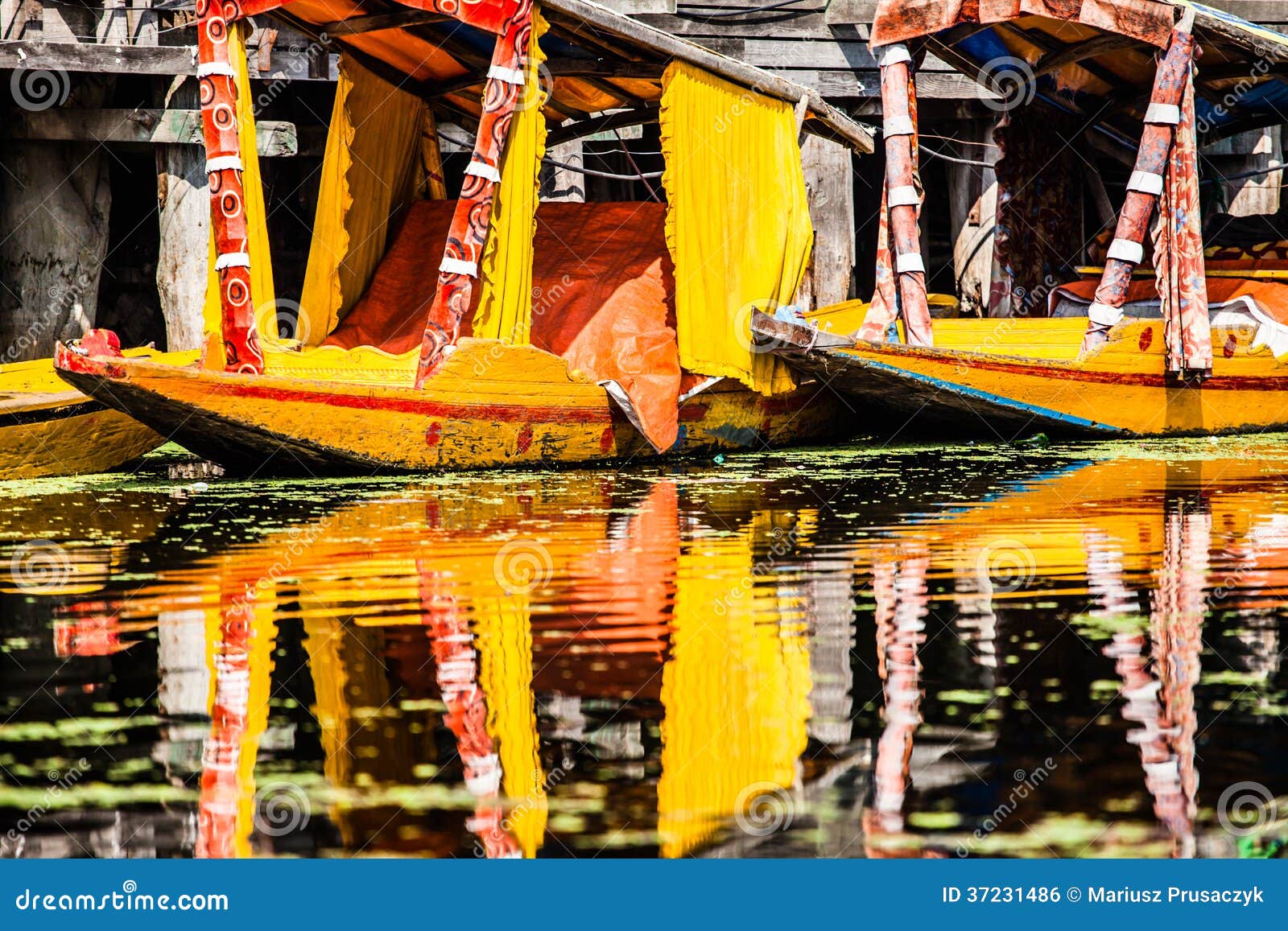 Shikara Boat in Dal Lake , Kashmir India Stock Photo - Image of kashmir ...