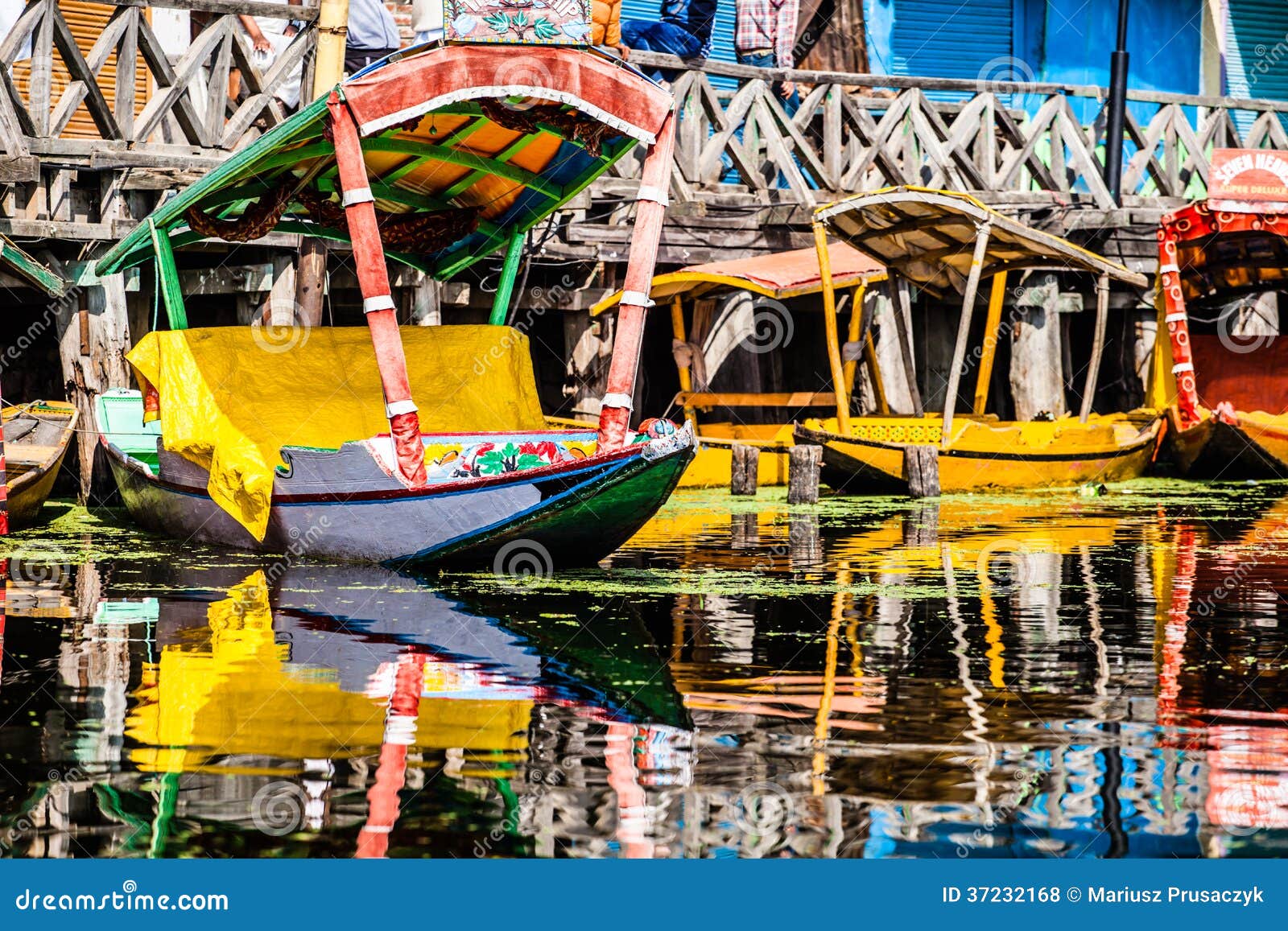 Shikara Boat in Dal Lake , Kashmir India Stock Photo - Image of islam ...