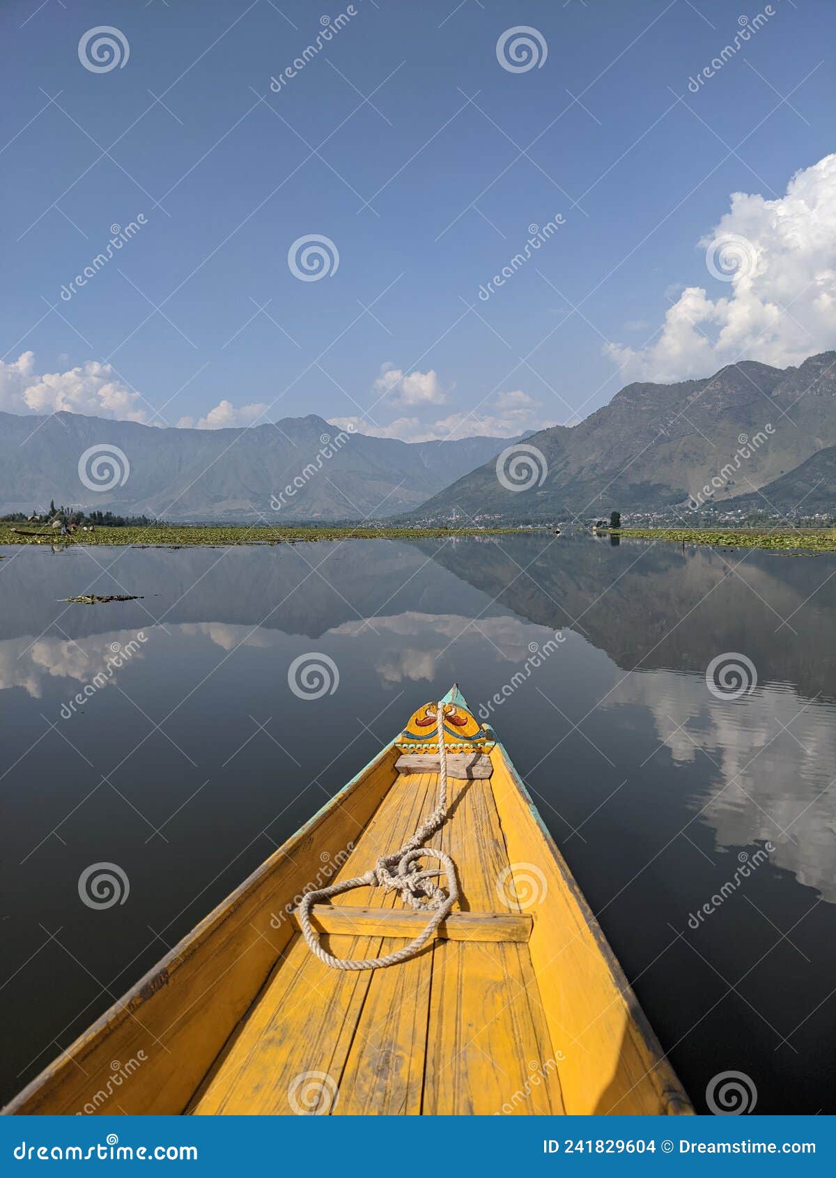 Shikara dal lake kashmir foto de archivo. Imagen de terreno - 241829604
