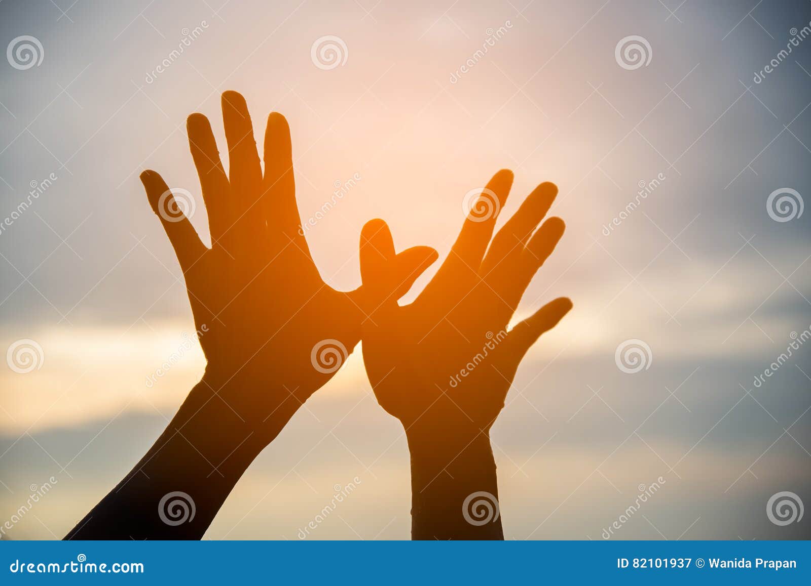Shilhouette Hands Creating in the Shape of Bird Stock Image - Image of ...