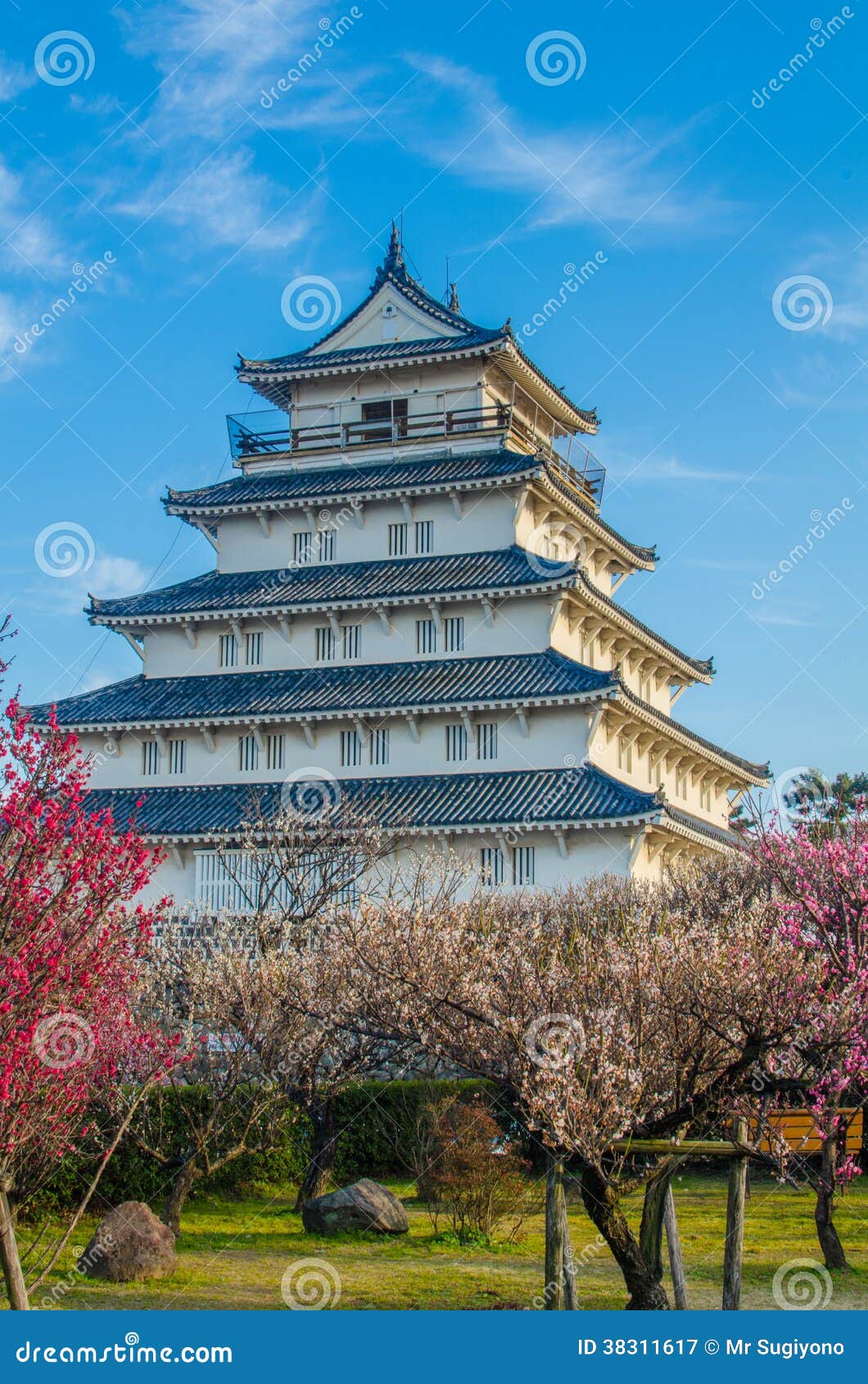 Shimabara castle stock image. Image of blossoms, japanese - 38311617