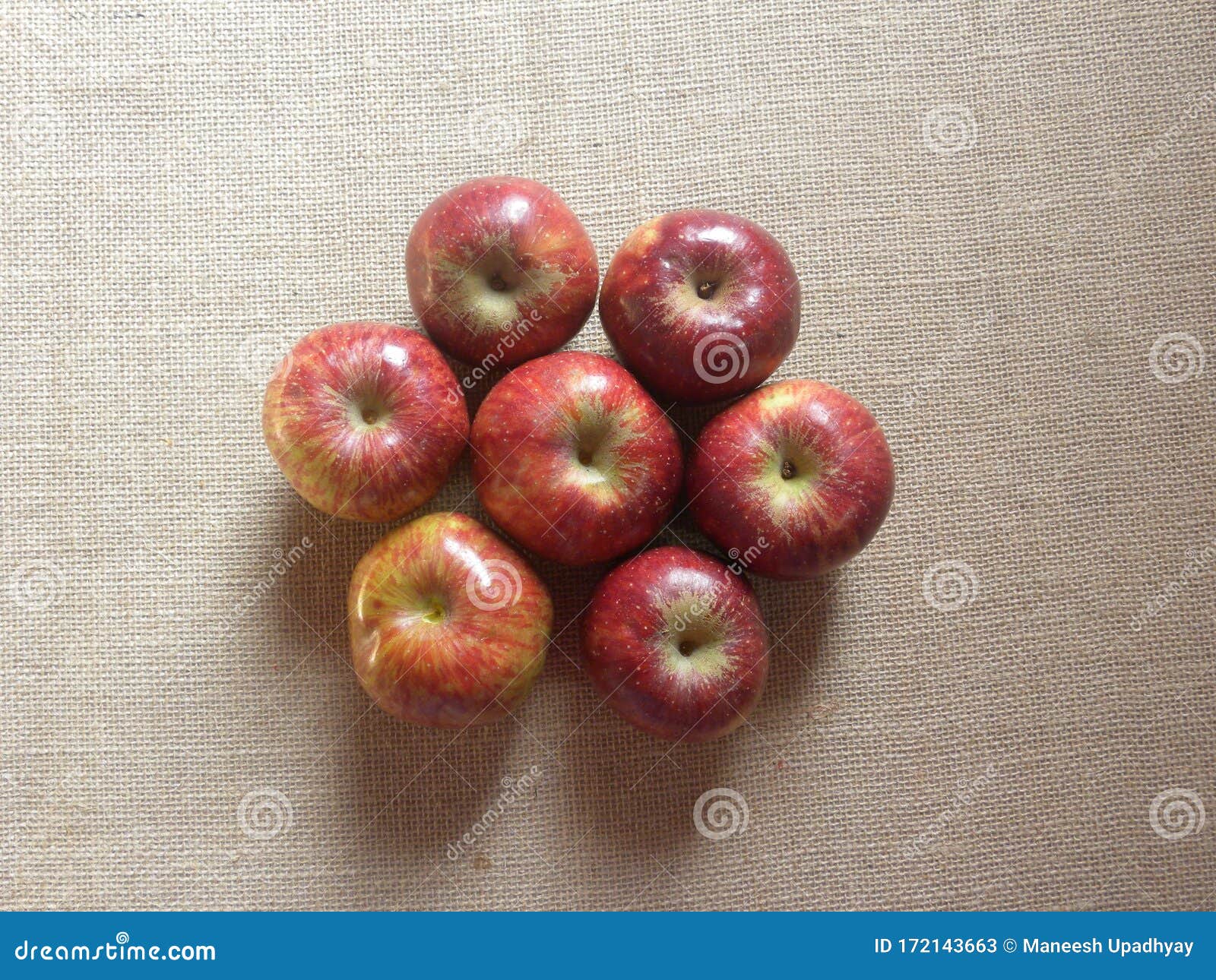 Shimla apples stock image. Image of delicious, malus - 172143663