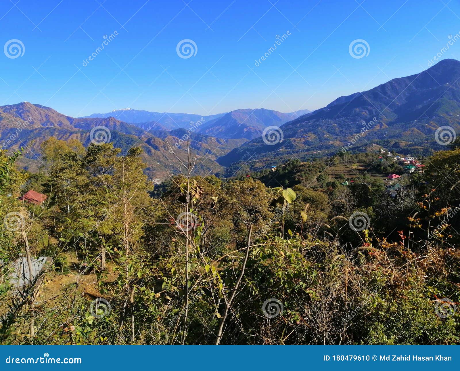 Shimla hill view stock photo. Image of valley, tree - 180479610