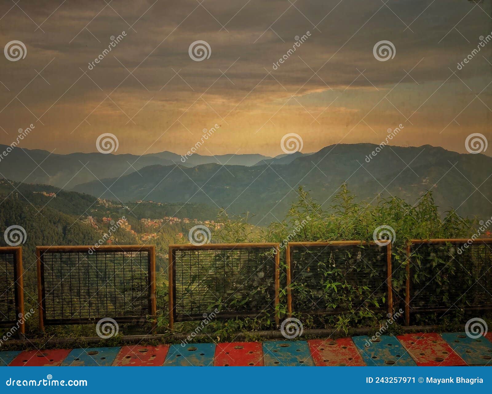 Shimla, Himachal Pradesh, India Stock Image - Image of dusk, tree ...