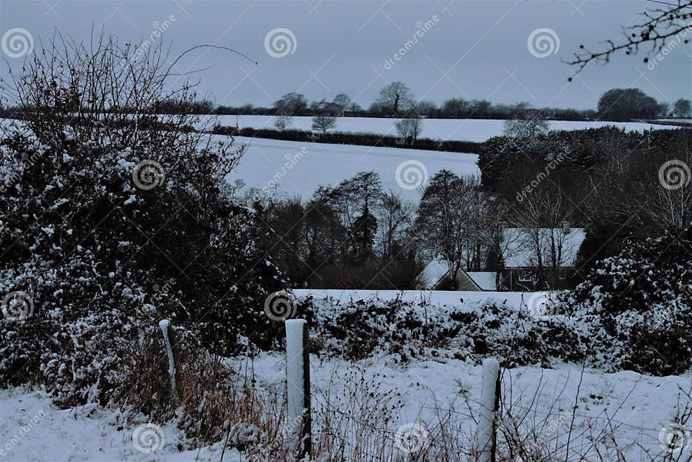 Shimpling Suffolk in the Snow Stock Photo - Image of shimpling, field ...