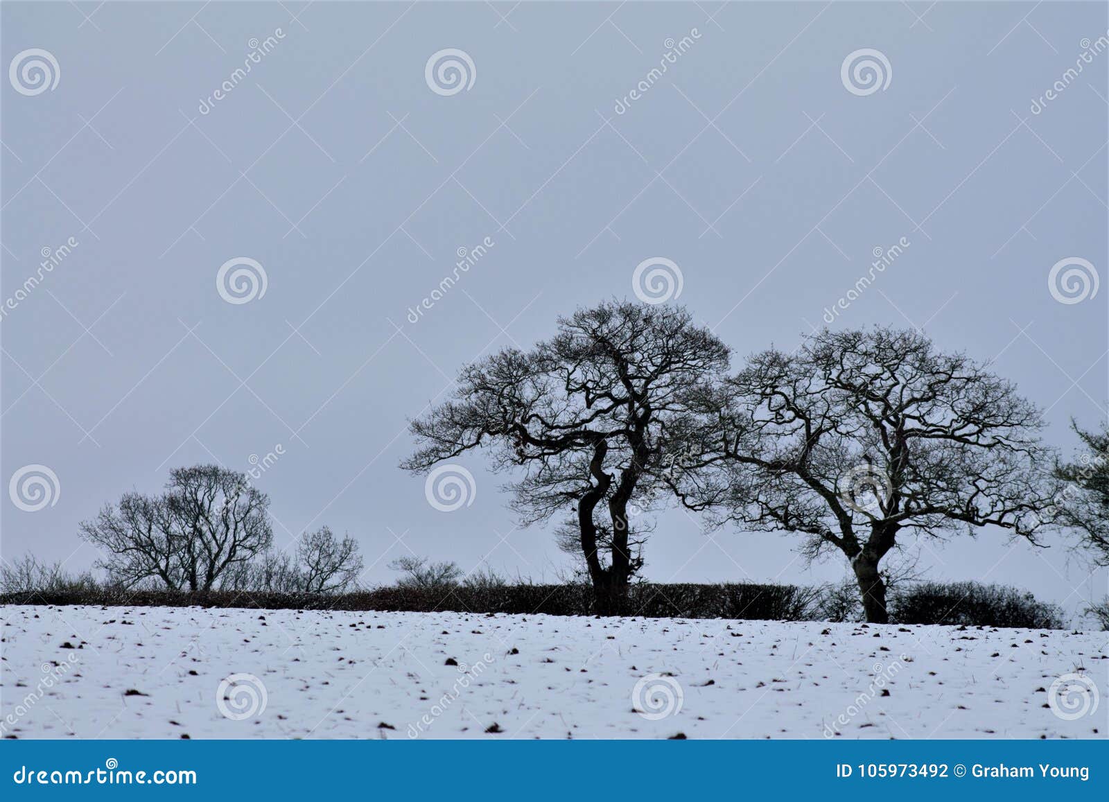 Shimpling Suffolk in the Snow Stock Photo - Image of natural, brown ...