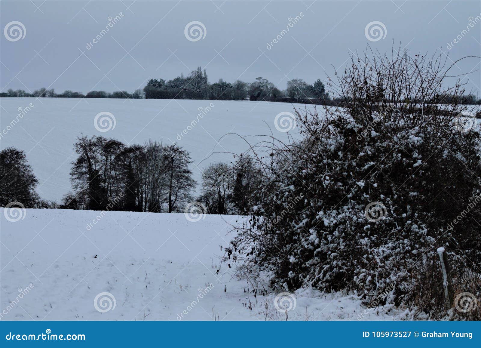 Shimpling Suffolk in the Snow Stock Image - Image of black, winter ...