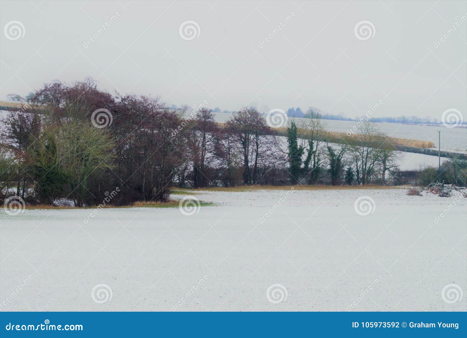 Shimpling Suffolk in the Snow Stock Photo - Image of autumn, shimpling ...