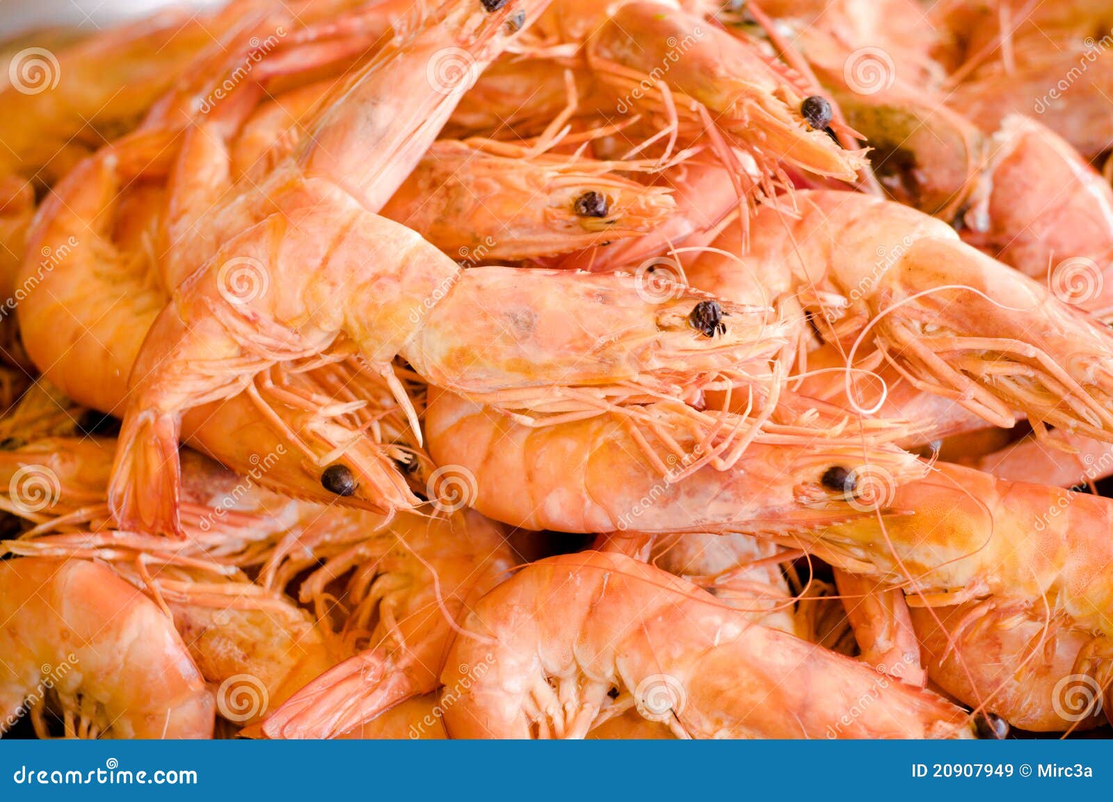 Shimps plate stock image. Image of lobster, ocean, nutrition - 20907949