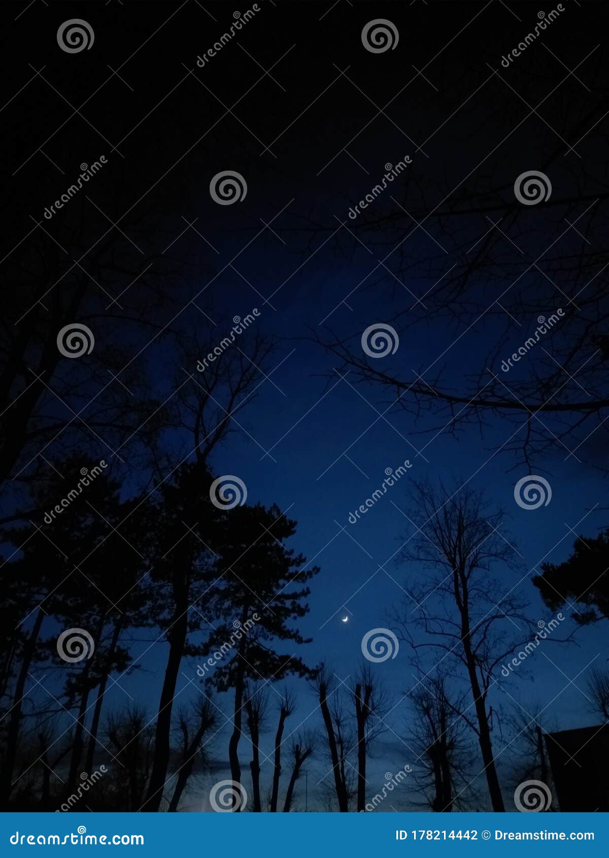 Shine of the moon stock photo. Image of night, sunlight - 178214442