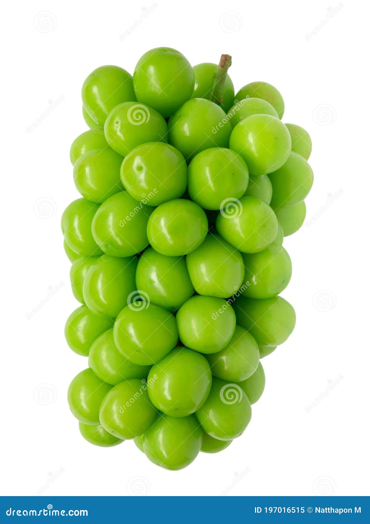 Muscat Grape Royalty-Free Stock Photography | CartoonDealer.com #34456667