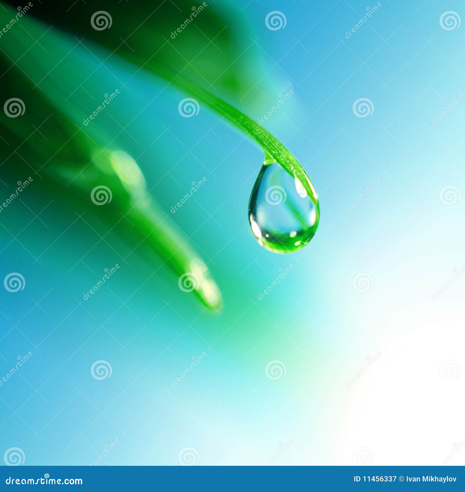 Shine water drop stock image. Image of herb, green, color - 11456337