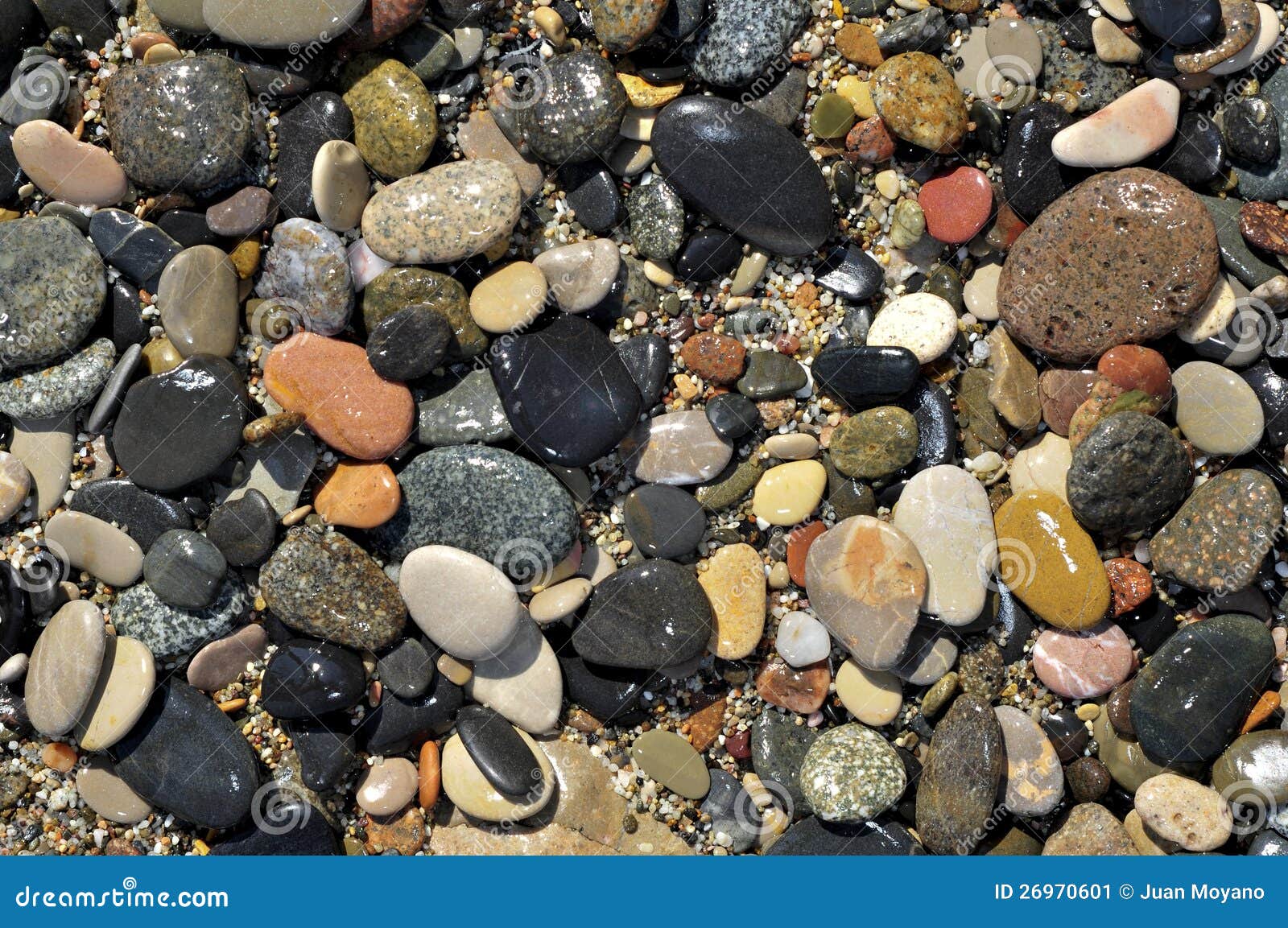 Shingle beach stock image. Image of coarse, rocks, holidays - 26970601