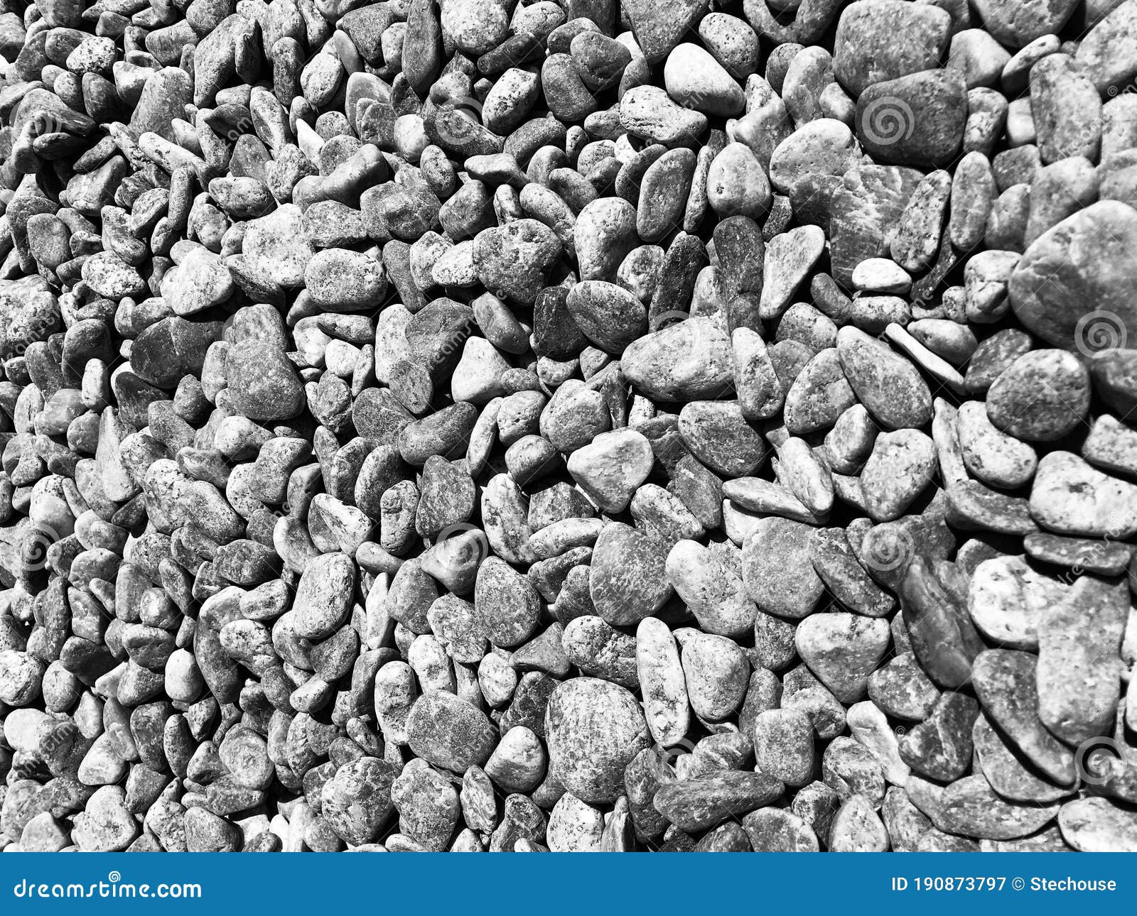 A Shingle Beach on the Black Sea Stock Image - Image of habitat ...