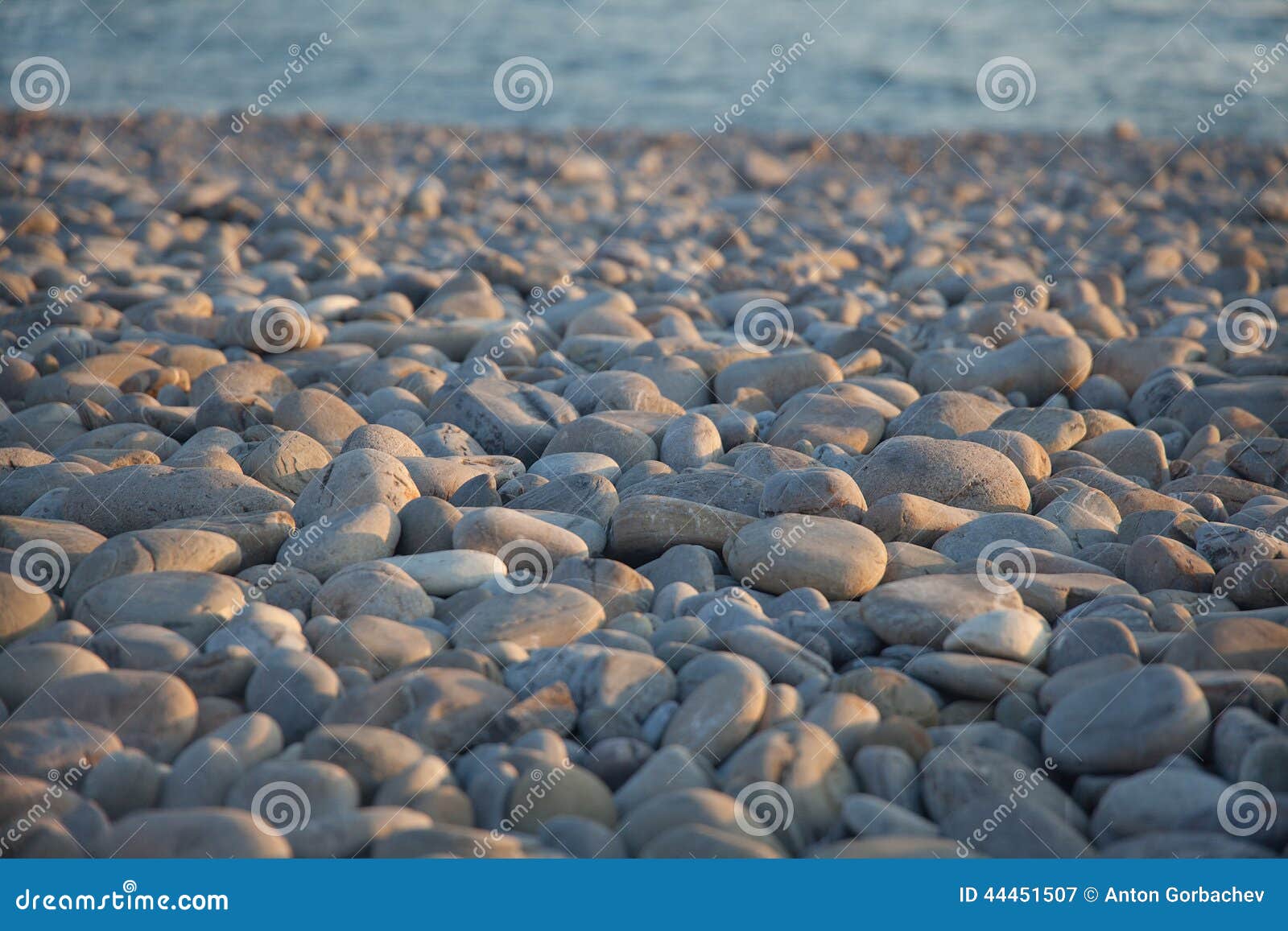 Shingle beach stock image. Image of beach, pebble, stones - 44451507