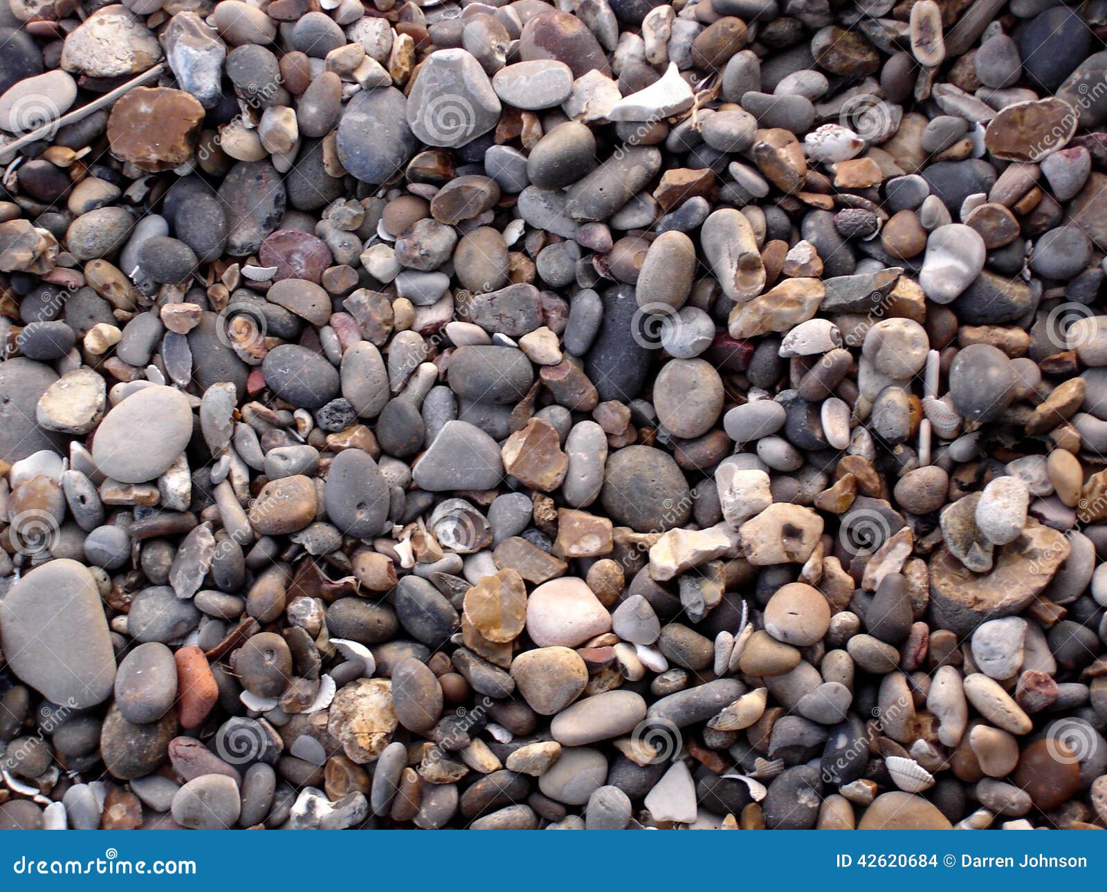 Shingle Beach Close-Up stock photo. Image of beach, flat - 42620684