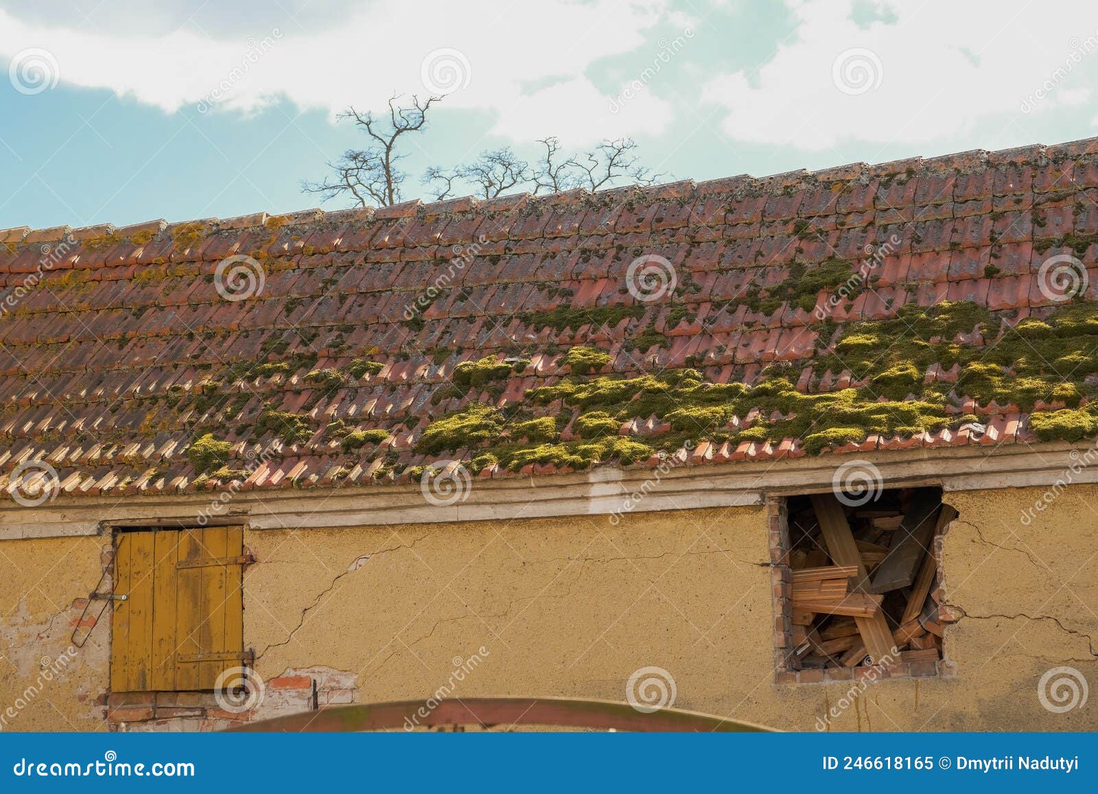 Shingle Roof with Green Moss on the Surface Stock Image - Image of fall ...