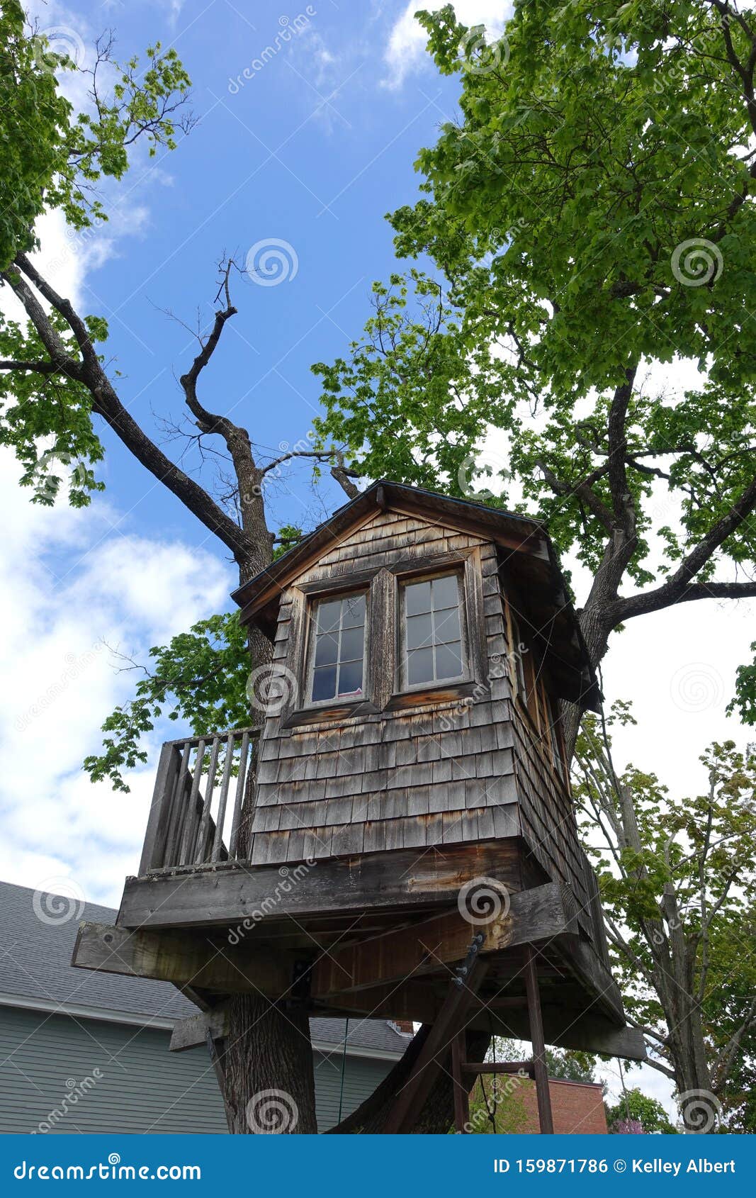 Shingled Treehouse Up in a Tree Stock Photo - Image of tree, play ...