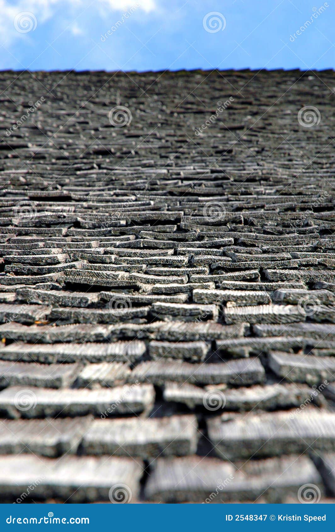 Shingles Picture. Image: 2548347