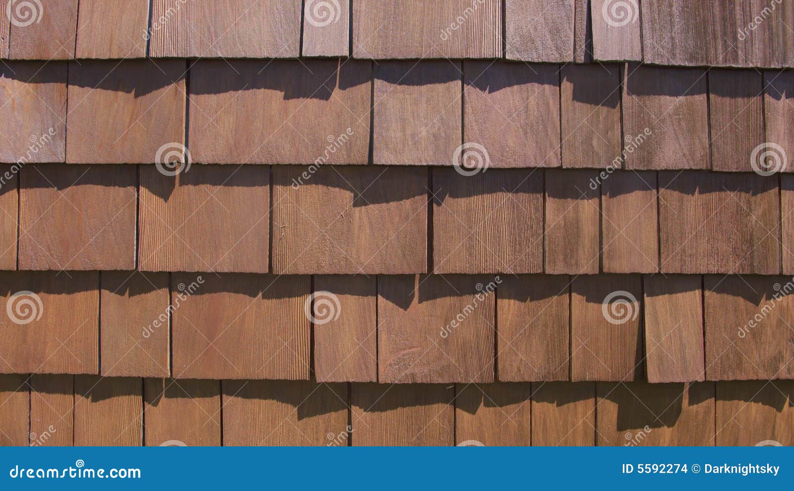 Shingles stock photo. Image of shingle, quality, american - 5592274