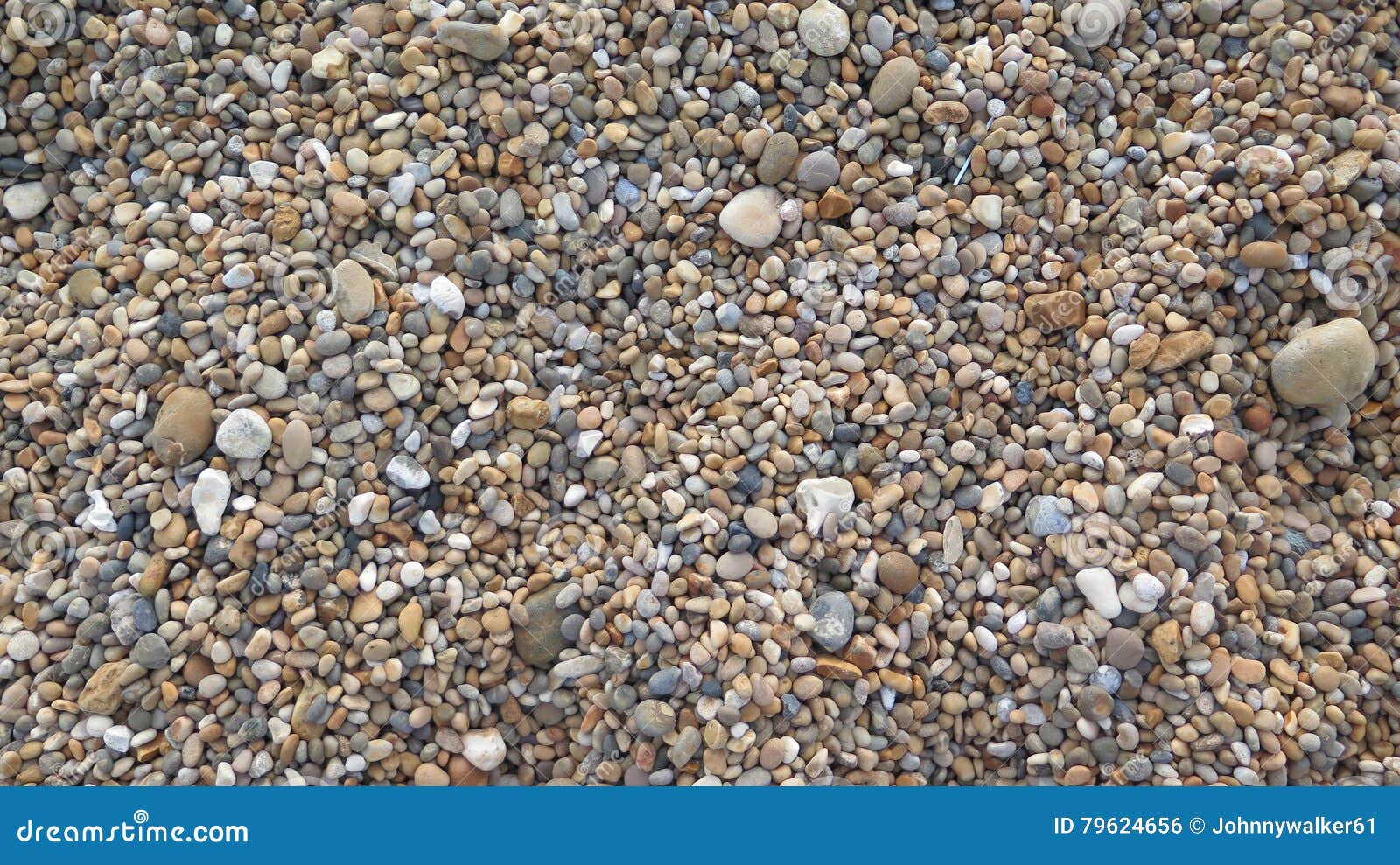 Shingles beach in Dorset stock photo. Image of beach - 79624656
