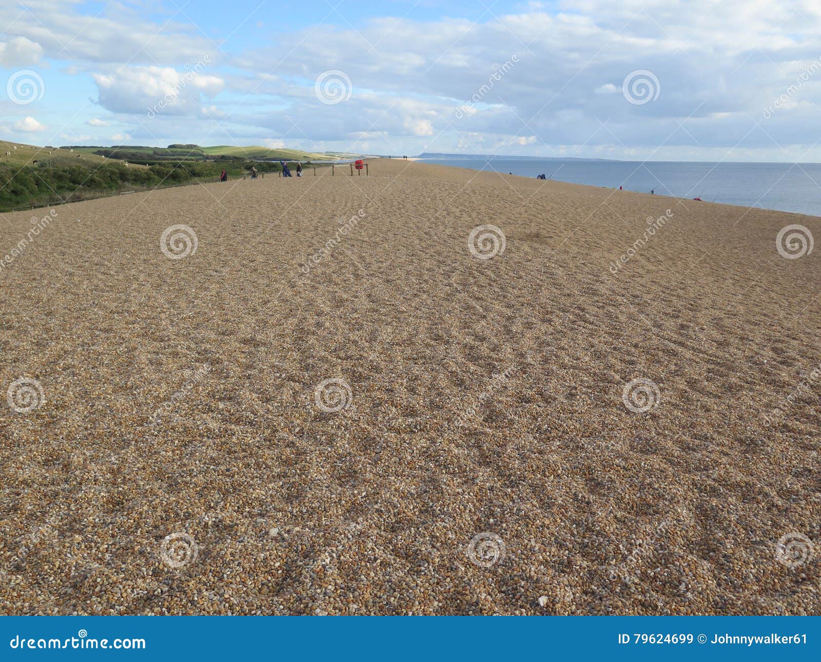 Shingles beach in Dorset stock image. Image of summer - 79624699