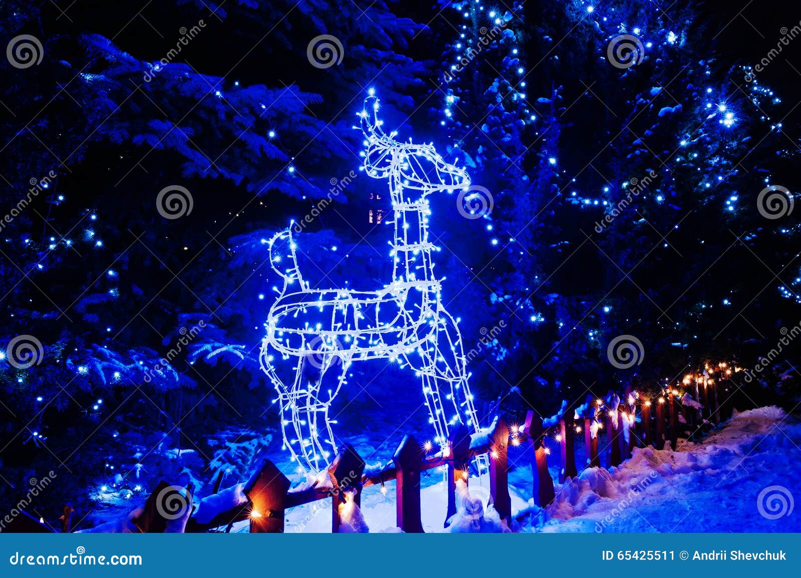 Shining Deer of Blue Ligts. Stock Image - Image of night, evening: 65425511