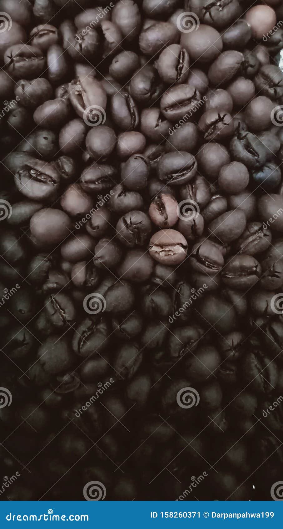 Shining Fresh Brown Coffee Beans Background in Gradient Stock Image ...