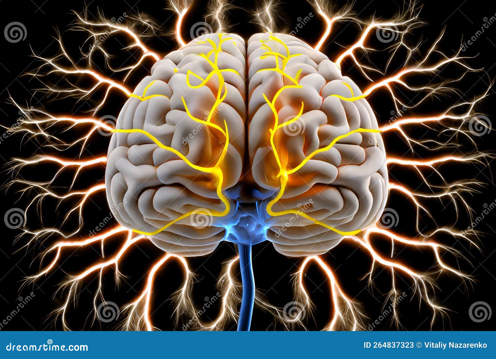 Shining Human Brain With Evolving Plexus Structure Stock Photography ...