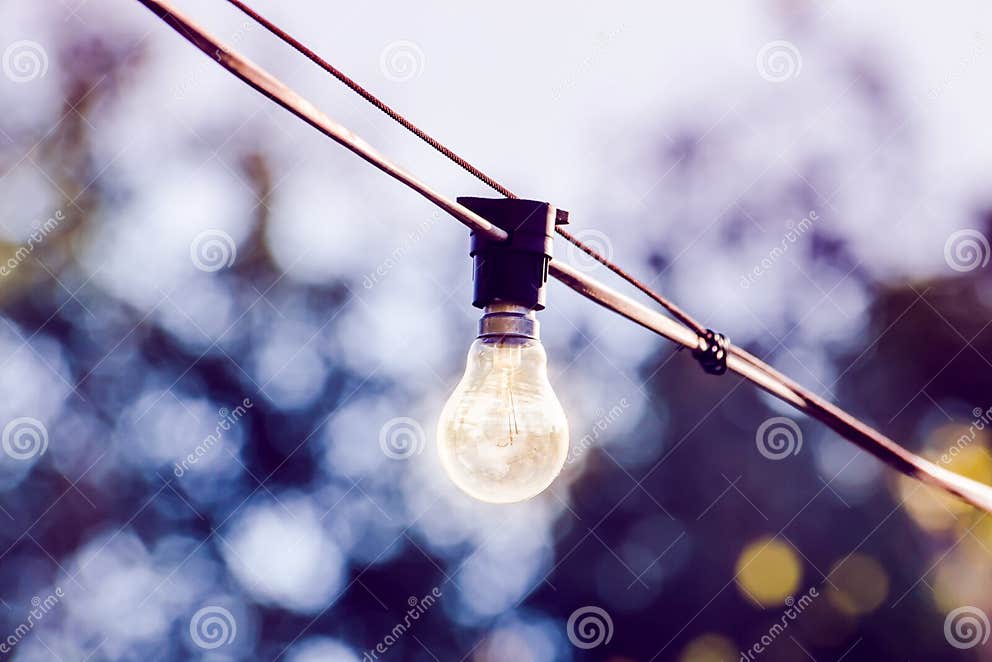 Shining light bulb stock photo. Image of efficient, idea - 209821796