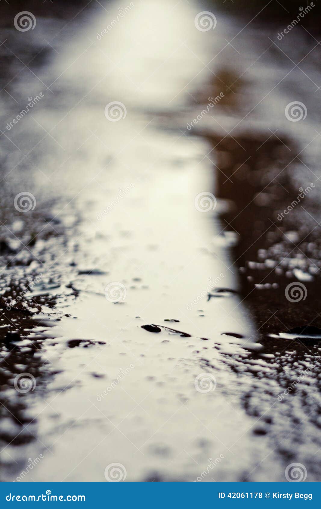 Shining pavement stock photo. Image of city, grunge, dark - 42061178