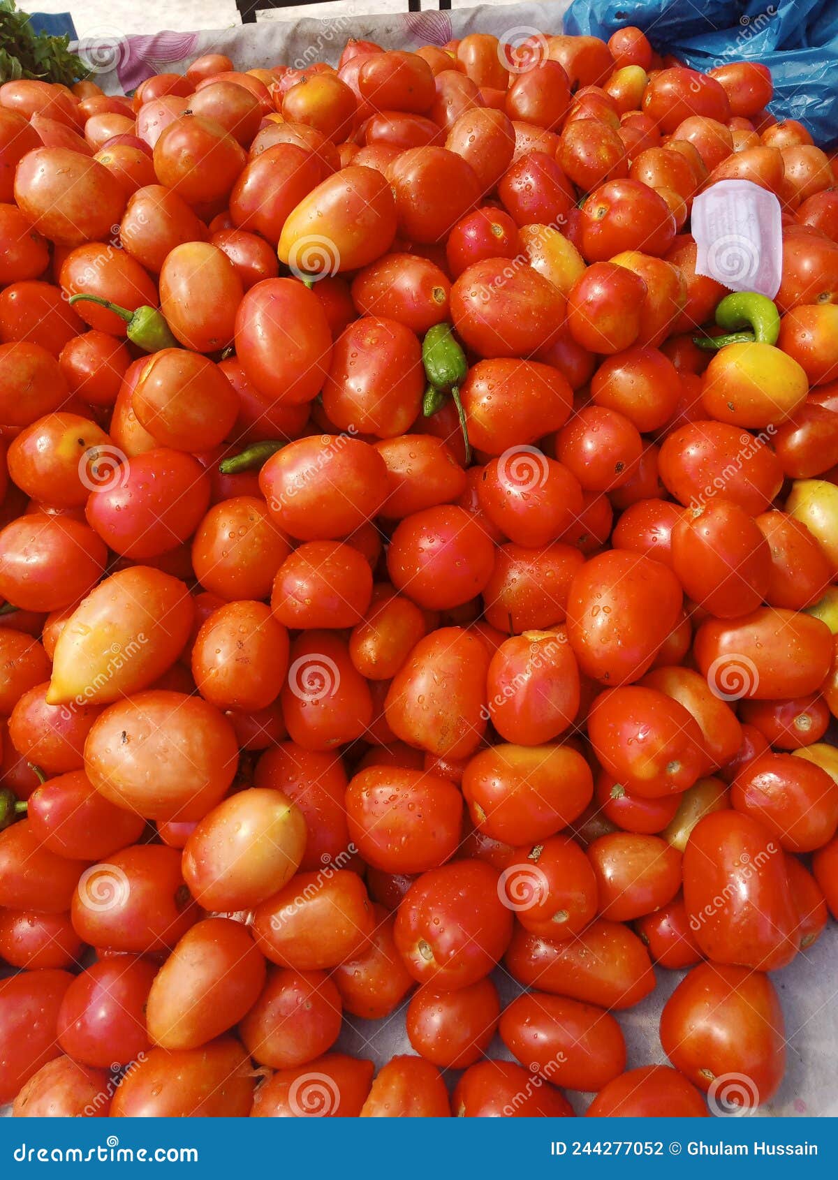 Shining Red Tomatoes from Talagang Pakistan Stock Photo - Image of ...