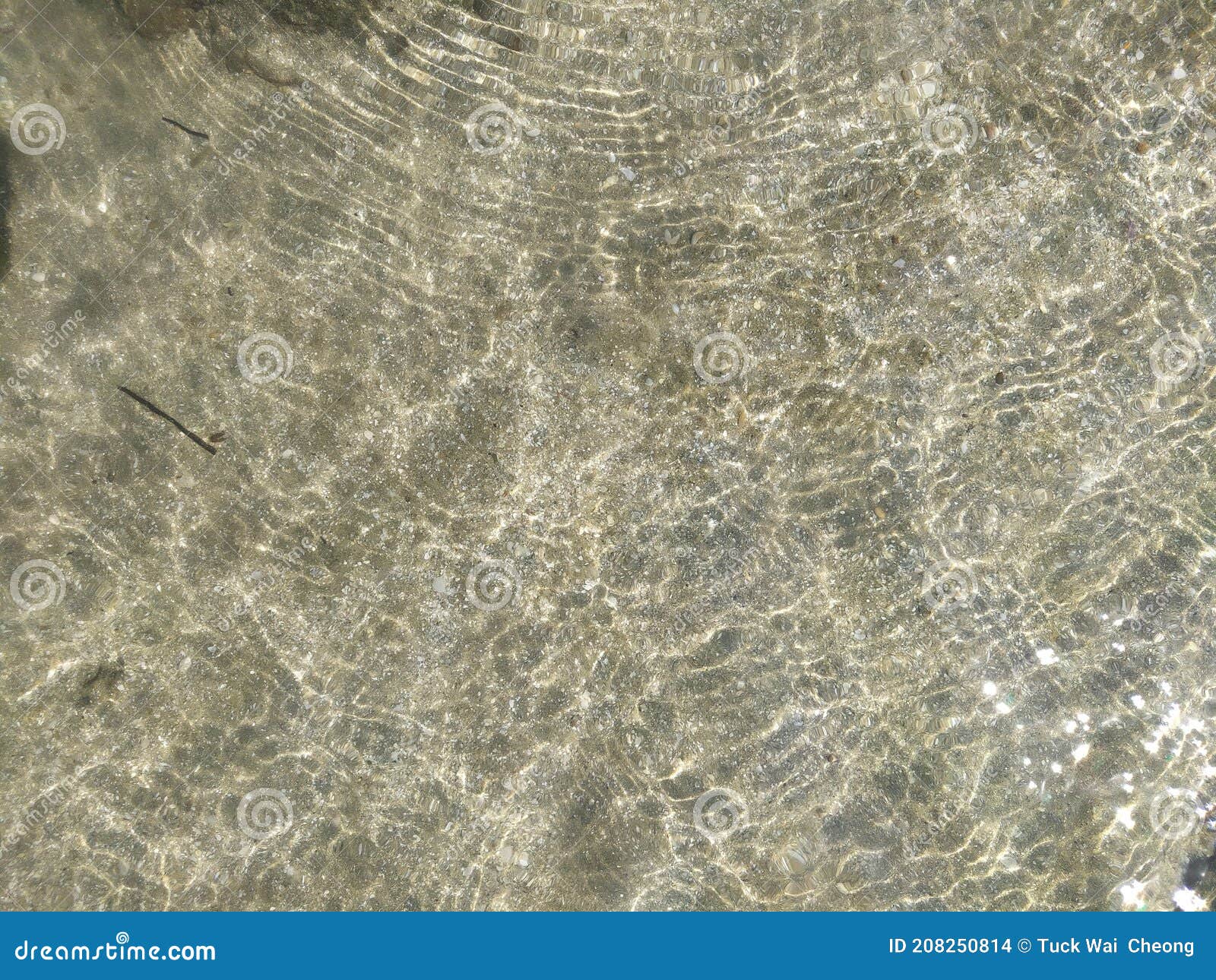Shining Shimmering Ripples. Stock Photo - Image of floor, circle: 208250814